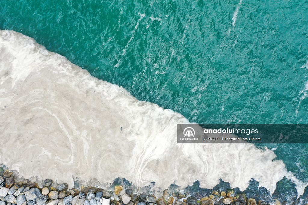 "Mucilage" in Sea of Marmara shores | Anadolu Images