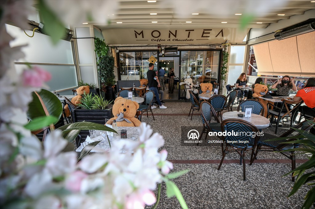 Teddy Bears ensure social distancing at cafe run by two siblings in ...