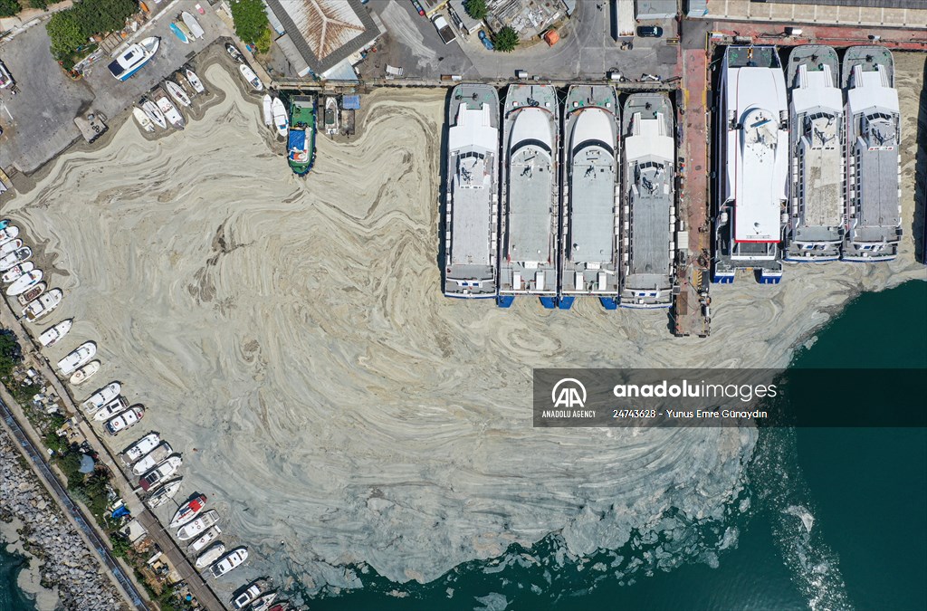 "Mucilage" in Marmara Sea | Anadolu Images