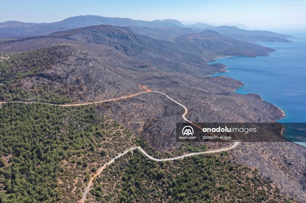 Aftermath of forest fires in Turkey's Mugla | Anadolu Images