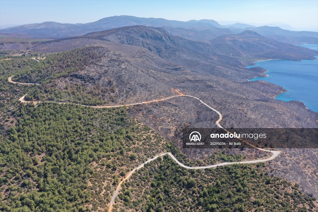 Aftermath of forest fires in Turkey's Mugla | Anadolu Images
