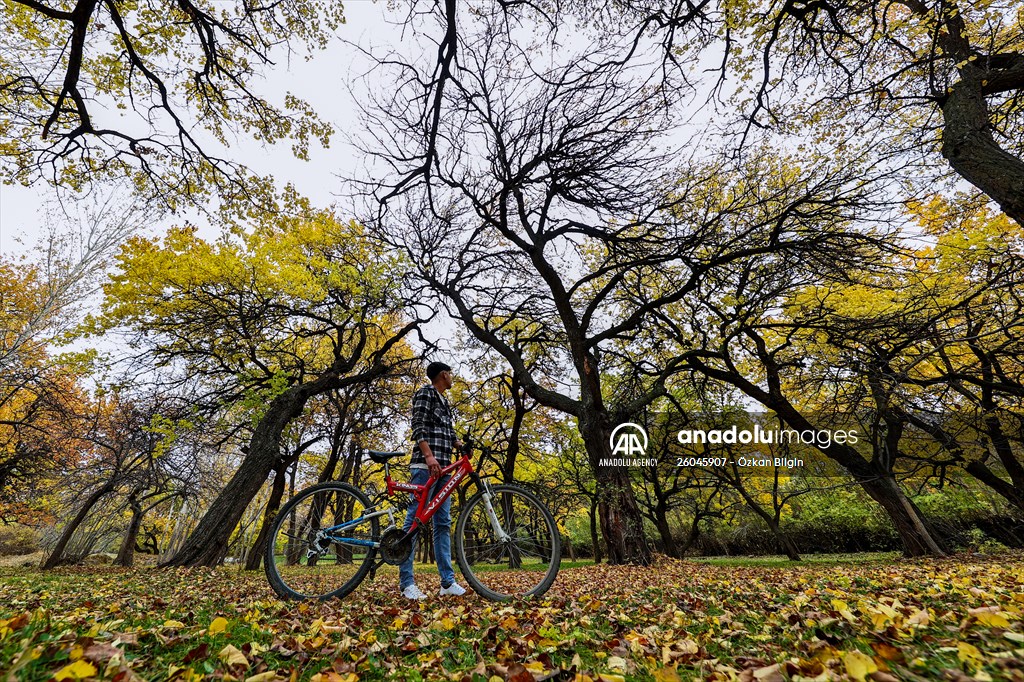 Autumn in Turkey's Van province | Anadolu Images