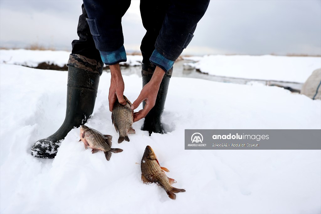 Freshwater fishing in frozen lake in Turkey's Konya | Anadolu Images