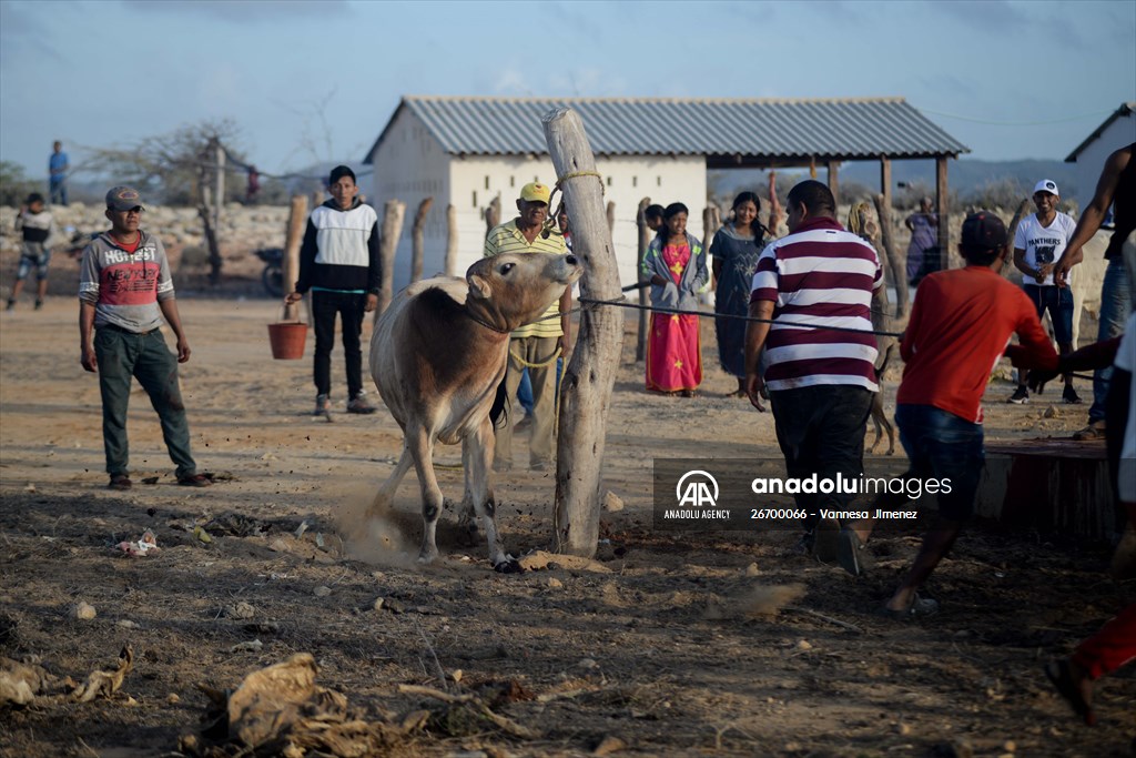 Second burial of the indigenous Wayuu, a tradition in the Guajira ...