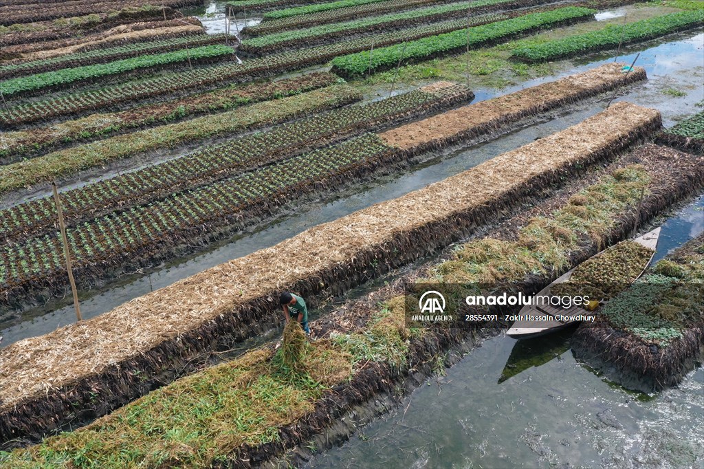 Floating Vegetable Garden: Adapting Climate Change | Anadolu Images