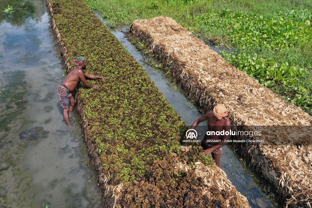 Floating Vegetable Garden: Adapting Climate Change | Anadolu Images