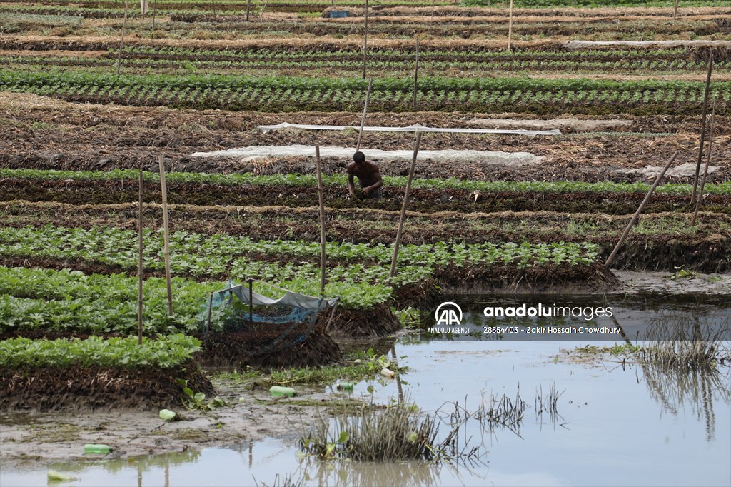 Floating Vegetable Garden: Adapting Climate Change | Anadolu Images