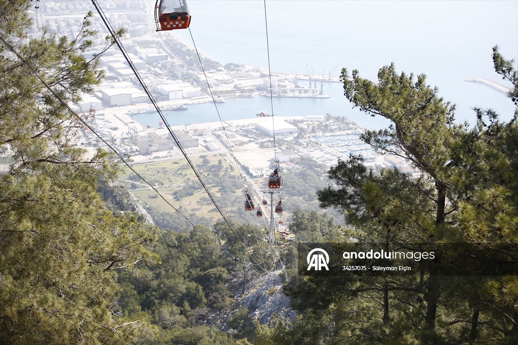 Search and rescue operations continue after cable car accident in ...