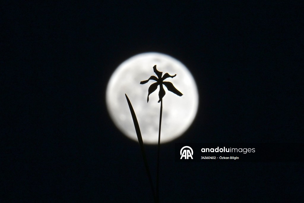 Full Moon in Turkiye's Van | Anadolu Images