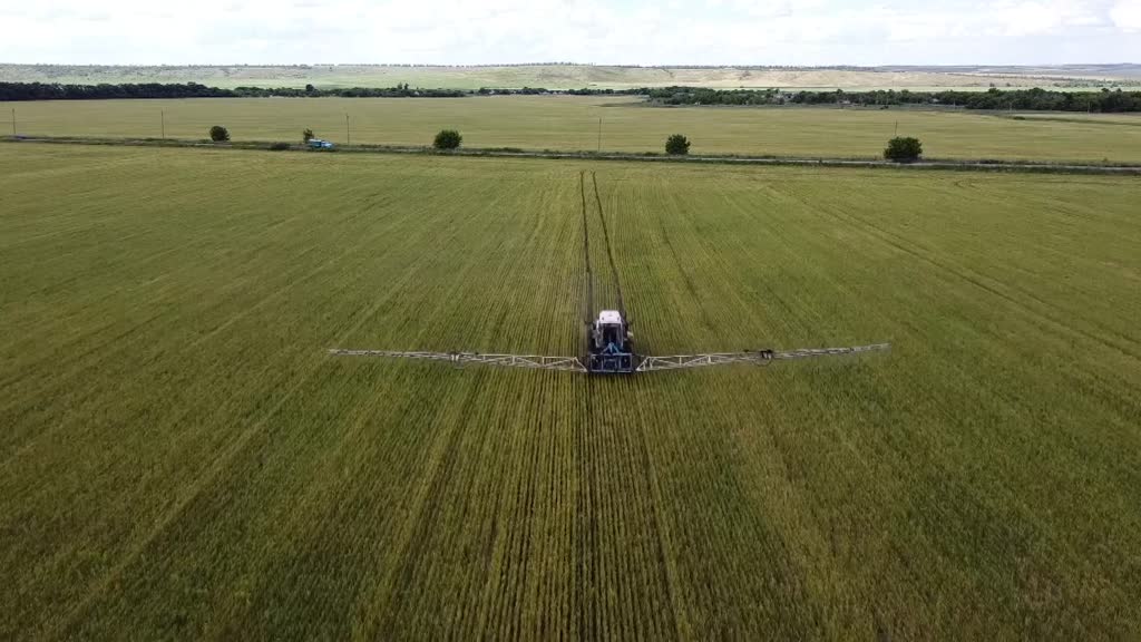 Farmers struggle to sell wheat in war-ridden Ukraine | Anadolu Images