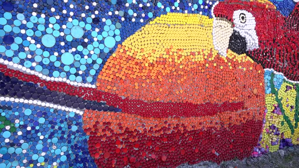 Venezuelan artist make ‘eco-mural’ with recycled plastic bottle caps ...