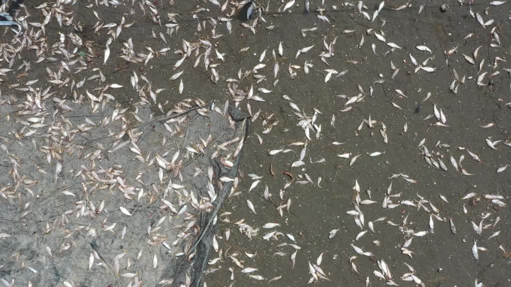 Fishermen head to sea to catch fish after Cyclone Mocha | Anadolu Images